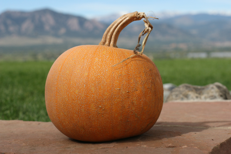 Roasted Pumpkin Puree | How to Make Pumpkin Puree | Mean Green Chef