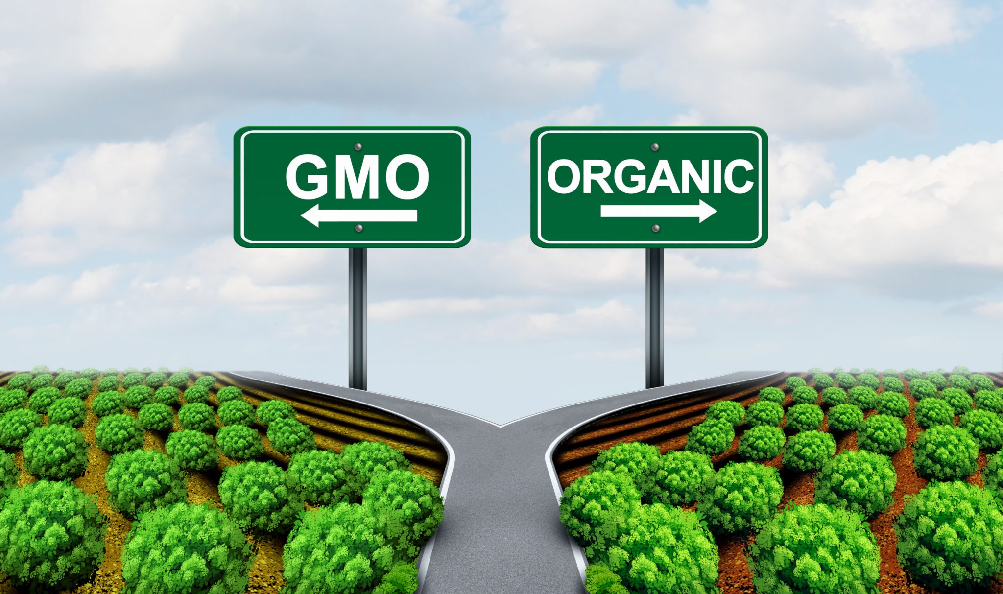 GMO Produce Labeling: A Comprehensive Guide to Food Labels