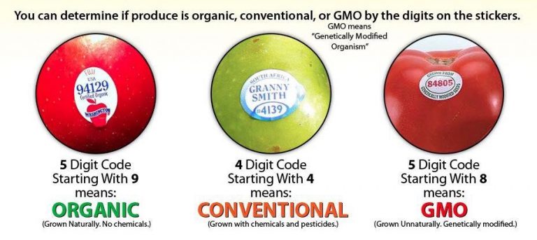 GMO Produce Labeling: A Comprehensive Guide to Food Labels
