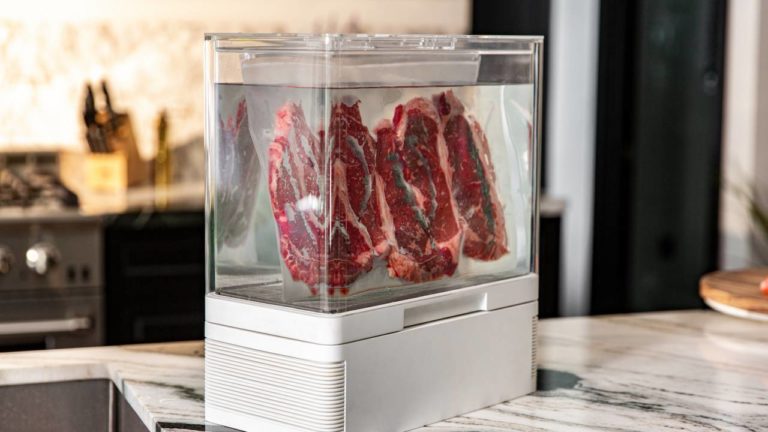 What is Sous Vide Cooking: Beginner's Guide to Sous Vide